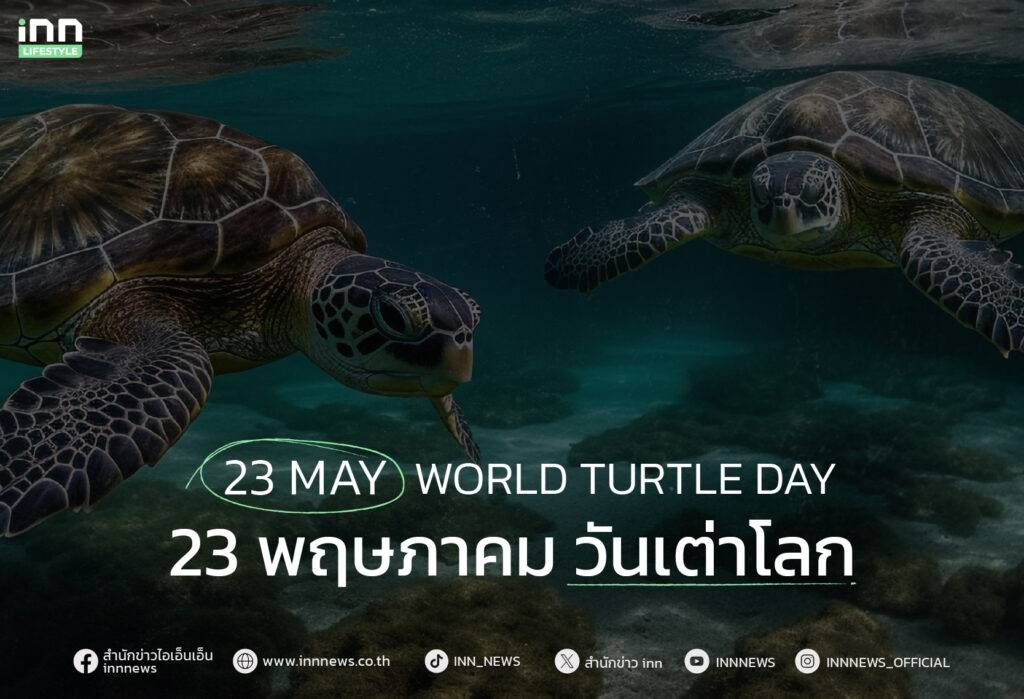 23 พฤษภาคม วันเต่าโลก (World Turtle Day)